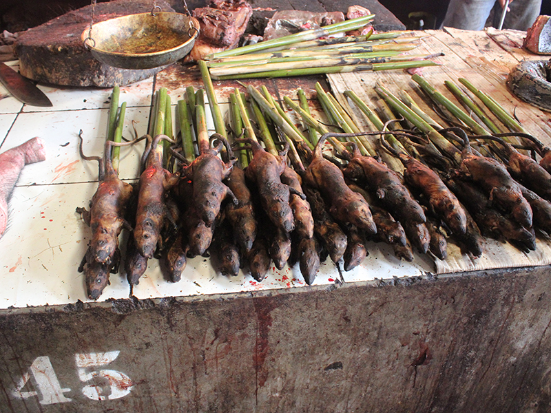 Brochettes de rats | gilanik